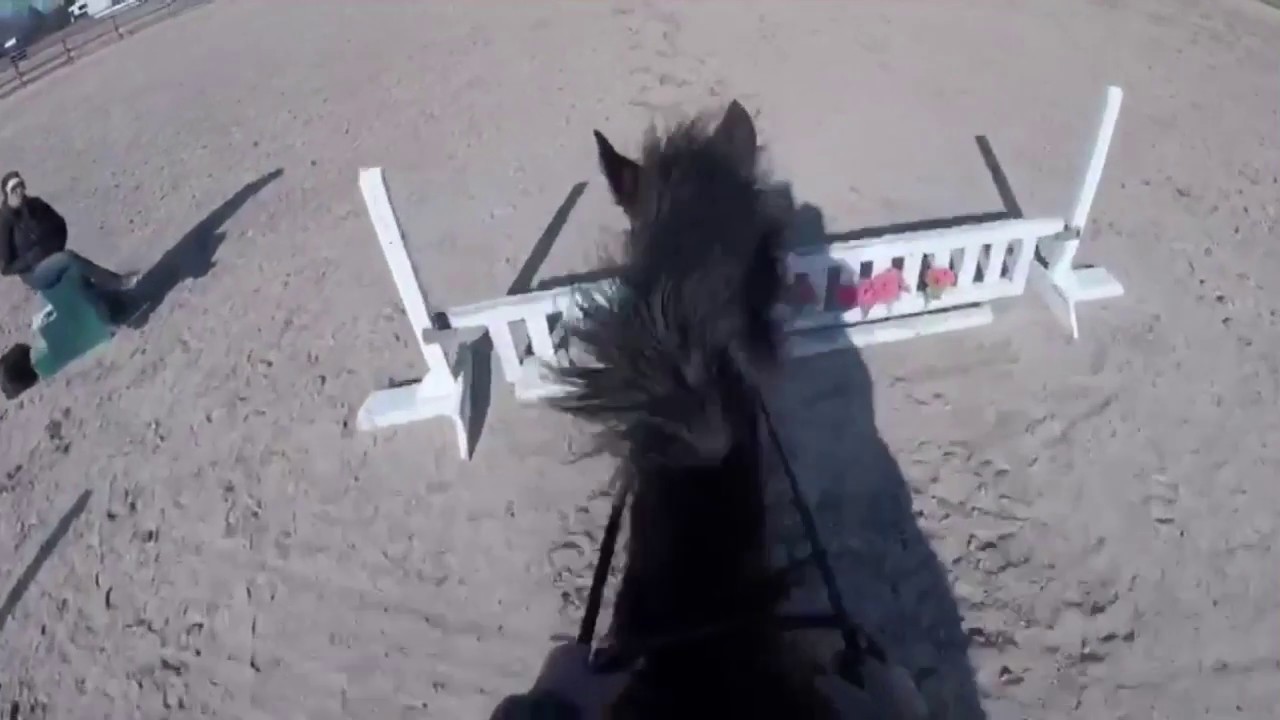 GoPro horse jumping #5 - YouTube