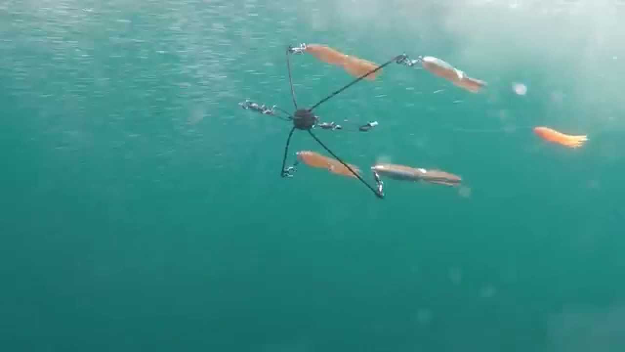 Hogy UV Flexi Bar Squid Bars - Underwater Fish Eye View - YouTube