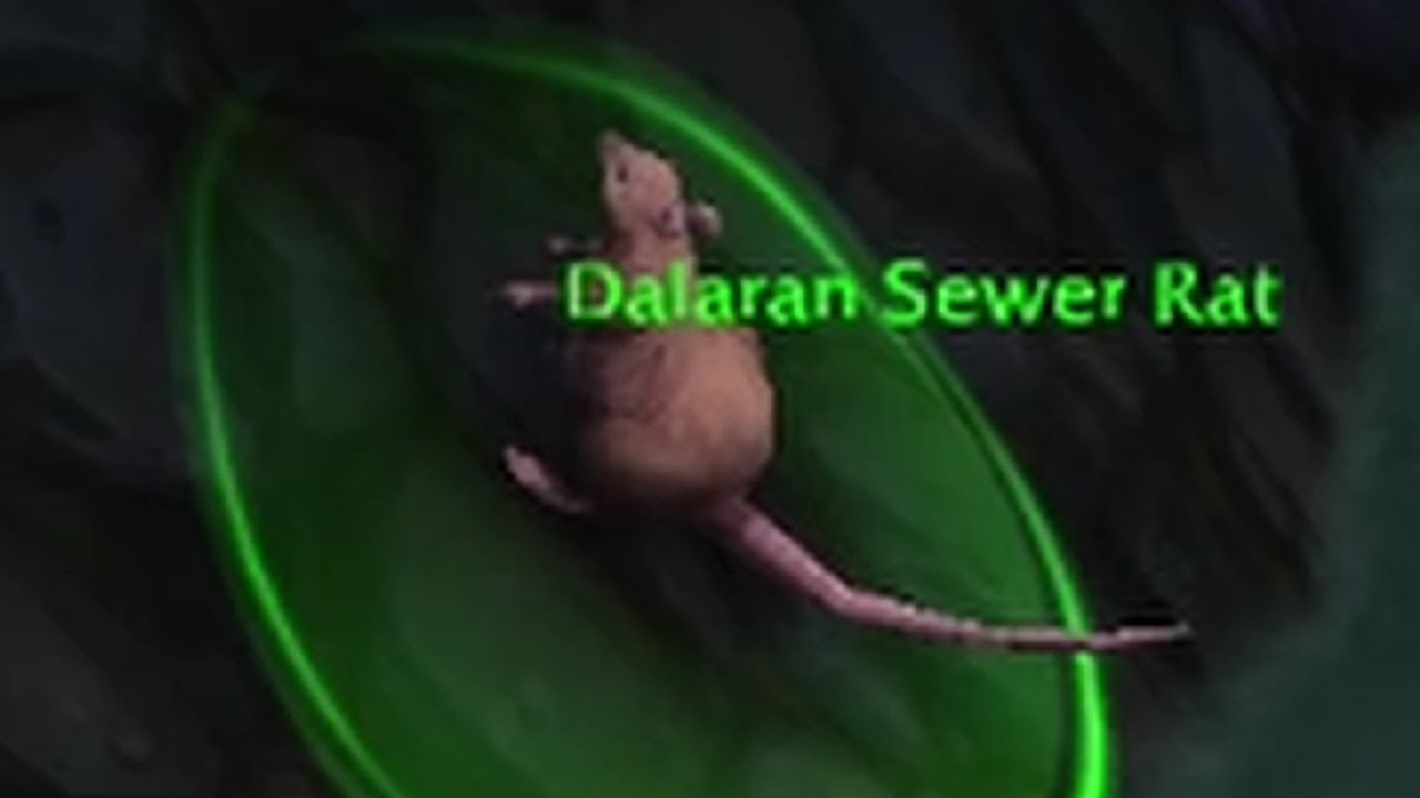 retail Dalaran sewers - YouTube