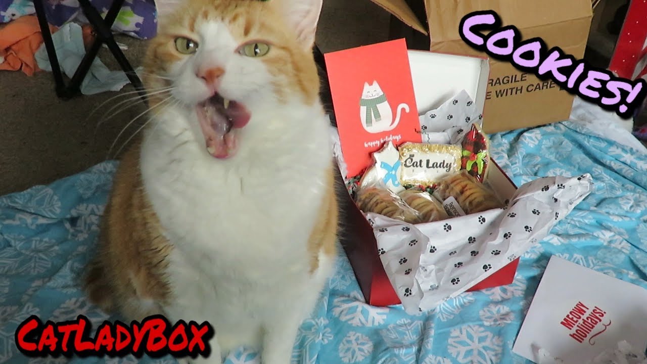 They Sent Me Cookies! | CatLadyBox Unboxing - YouTube
