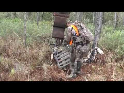 What You Need To Start Hunting - Laws and Treestand Setup (Swamp N ...