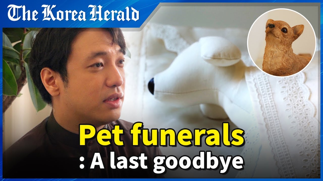 [ENG sub] Pet funeral: Offering farewell to companion animals in Korea ...