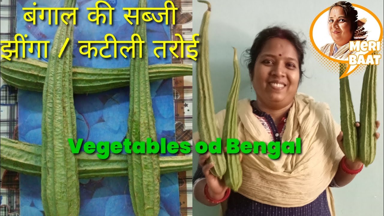 Green vegetable - Jhinge | झींगे | कटीली तरोई | Ridge Gourd| Bengali ...