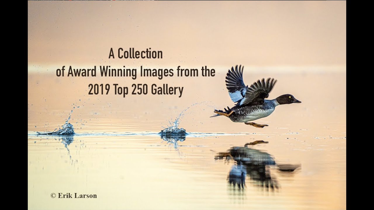 Powerful Images from 2019 Share the View Contest Top 250 - YouTube