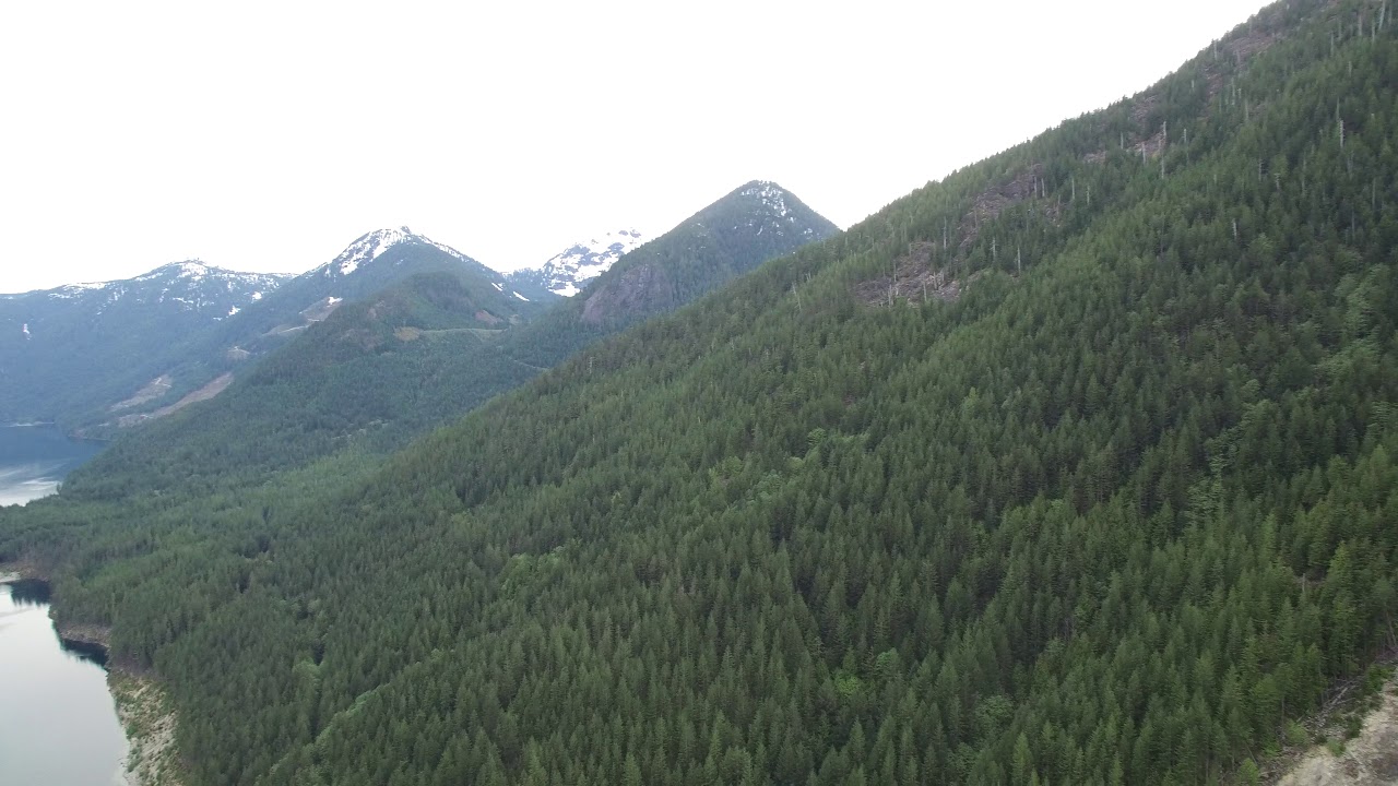 Chehalis Lake North landslide view - YouTube