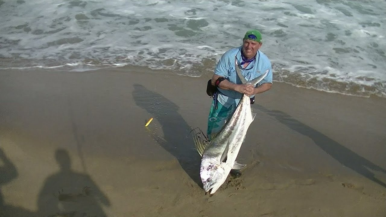 Rooster fishing Mexico 2013 - YouTube