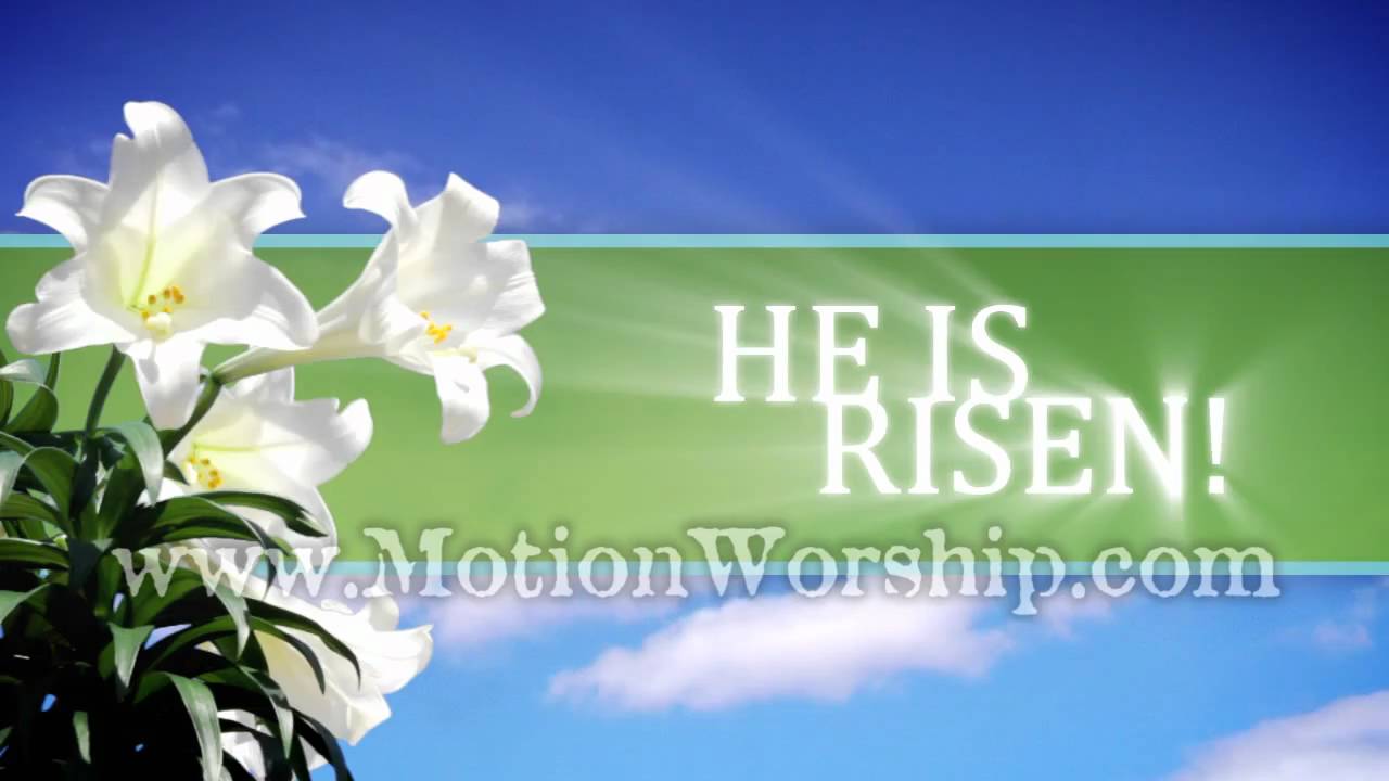Happy Easter Lilies Welcome HD Worship Motion Loop - YouTube