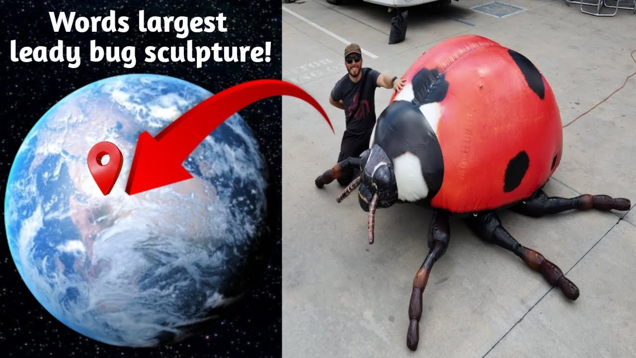 Words largest leady bug sculpture! 🐞😱 on google maps and google earth 🌎 ...