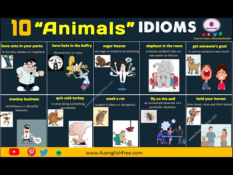 [3] ENGLISH IDIOMS | Related to Animals (with examples)
