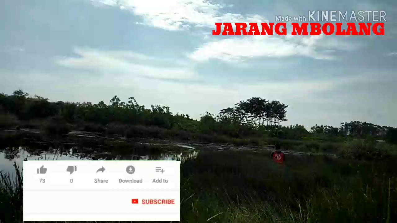 Melihat Teman Mancing Di Rawa Kalimantan - YouTube