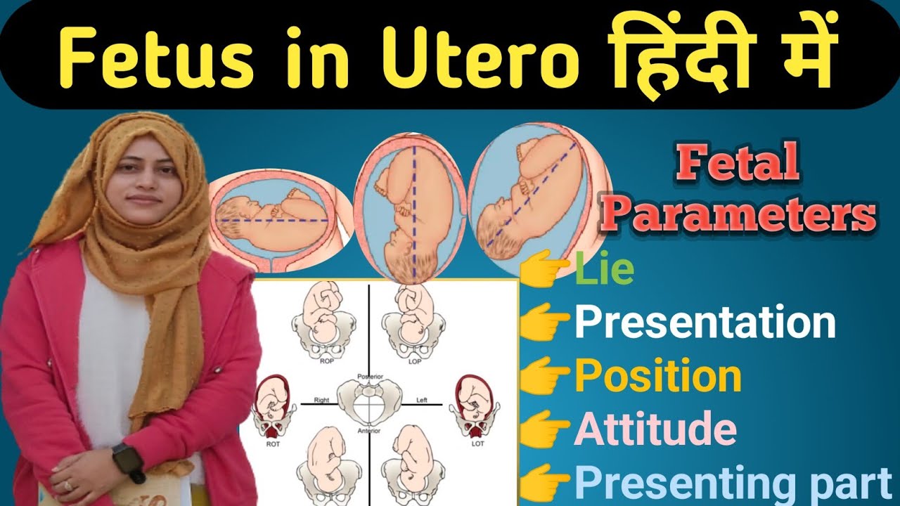 lie | presentation | position of fetus | attitude denominator ...