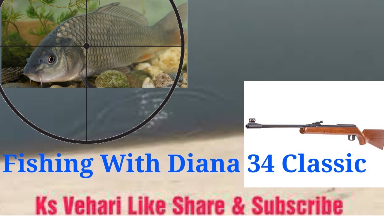 Fishing with diana 34 classic 2019 - YouTube