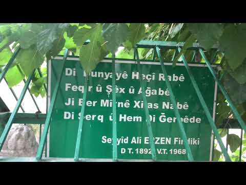 SEYYİD Ali’ye Fındiki Mezarı