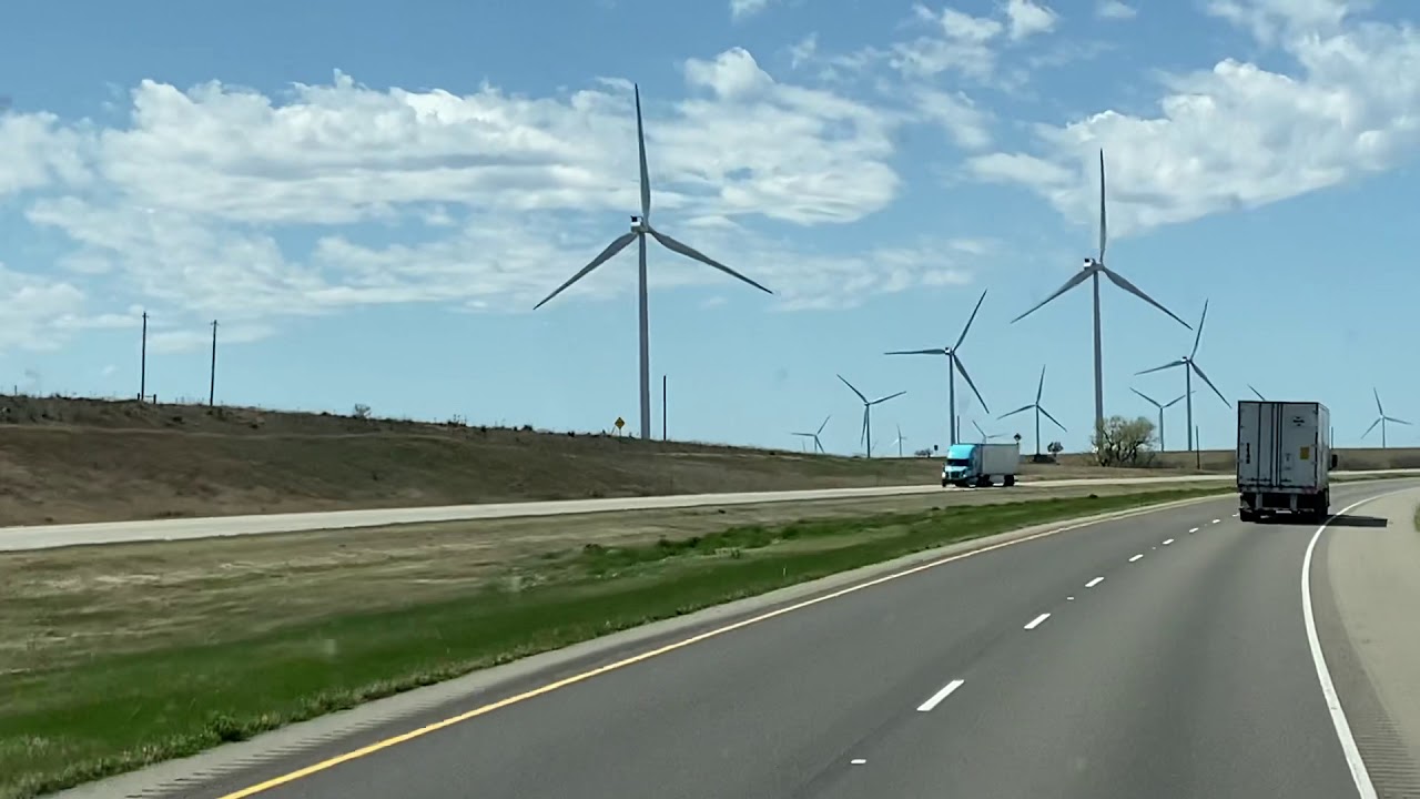 Las maravillas de los grandes pollinos - YouTube