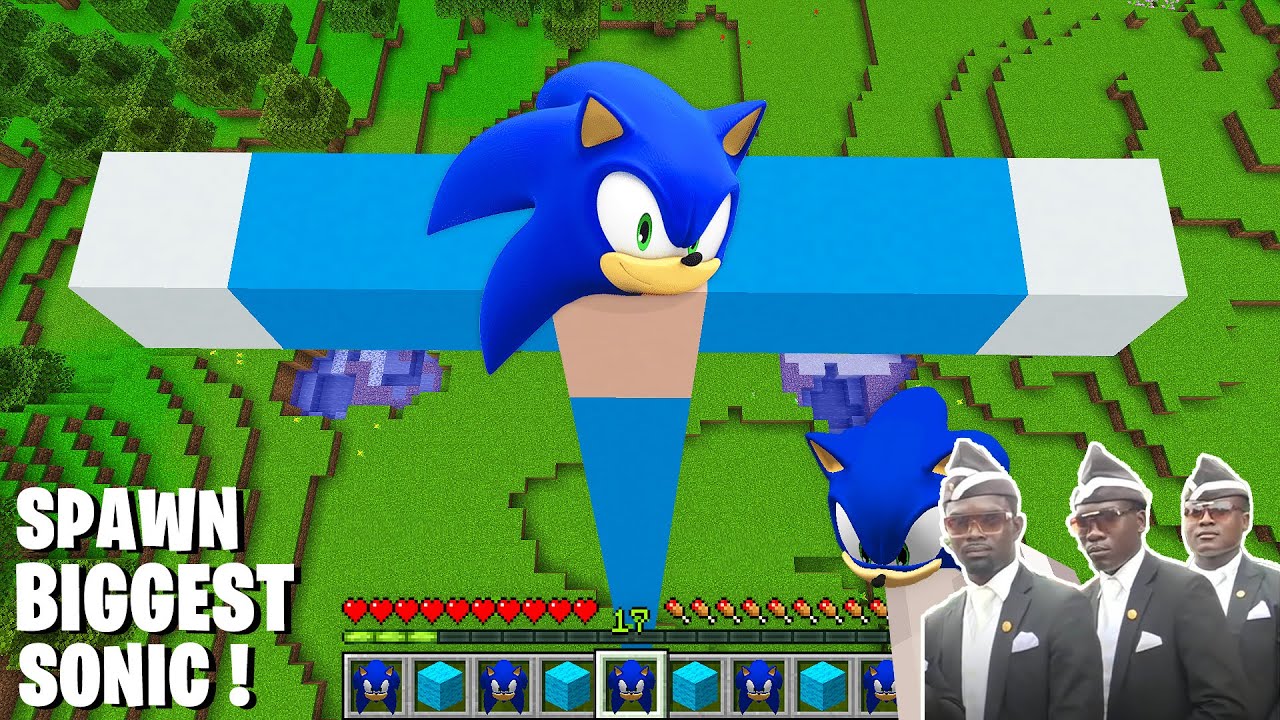 This is a SUPER SECRET WAY TO SPAWN BIGGEST SONIC in Minecraft - Coffin ...
