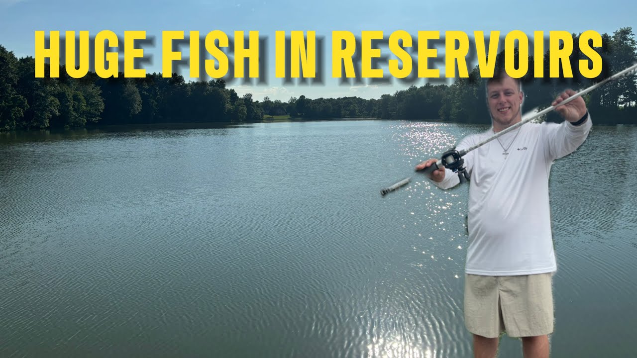 BIG FISH live in the RESERVIOR - YouTube