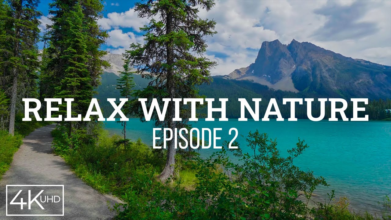 Nature Wonders 4K + Ambient Music to Create Calming Atmosphere & Unwind ...