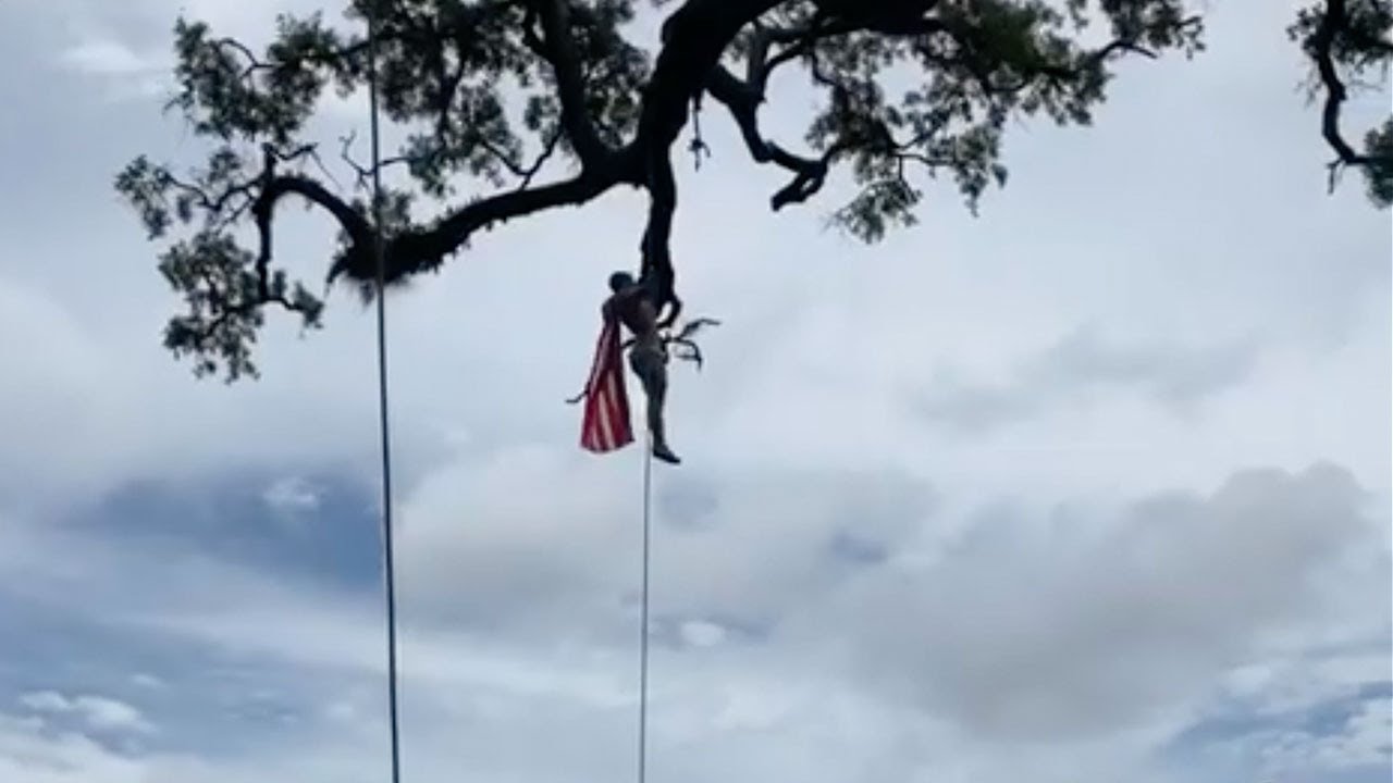 he did pull ups on a 50,000 ft tree - YouTube