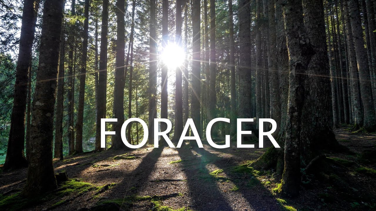 FORAGER (official film trailer) - YouTube