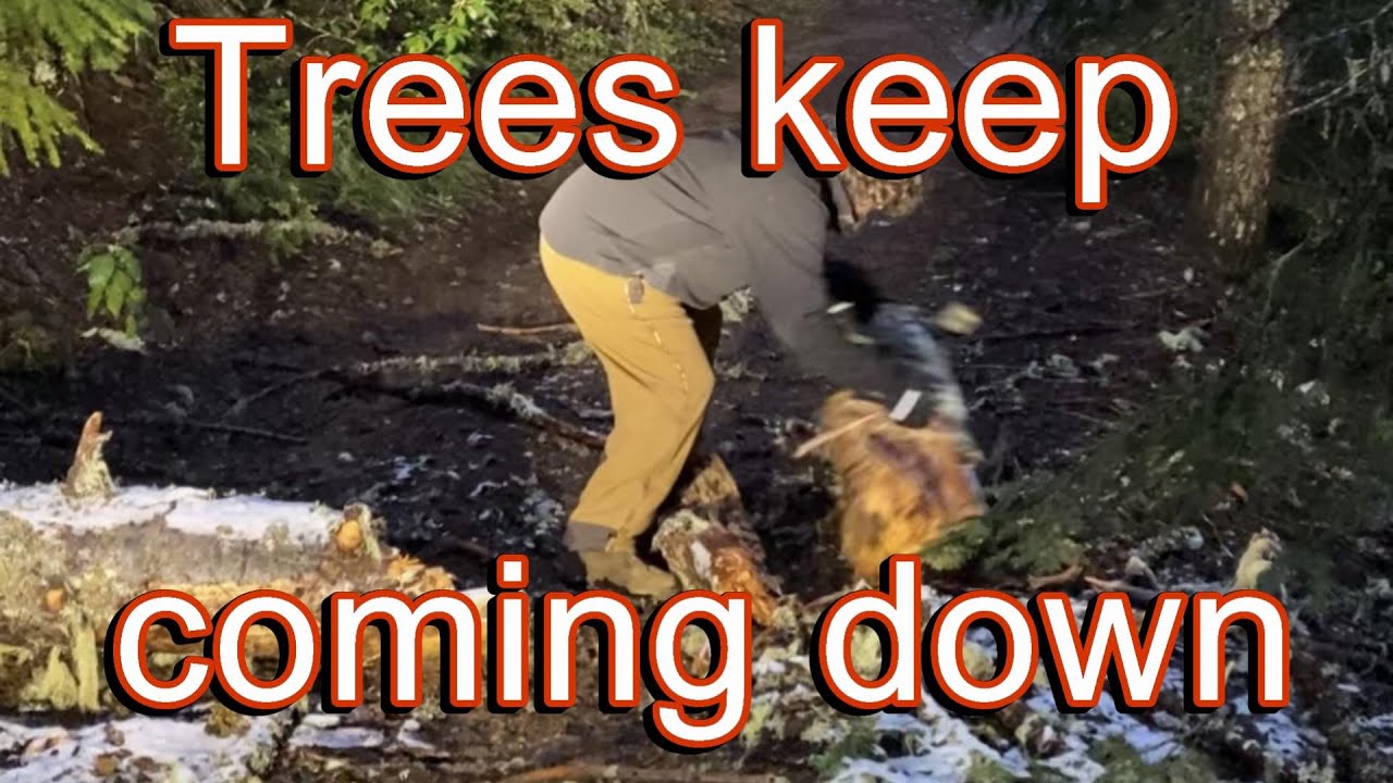 Heavy snow keeps bringing down trees - YouTube