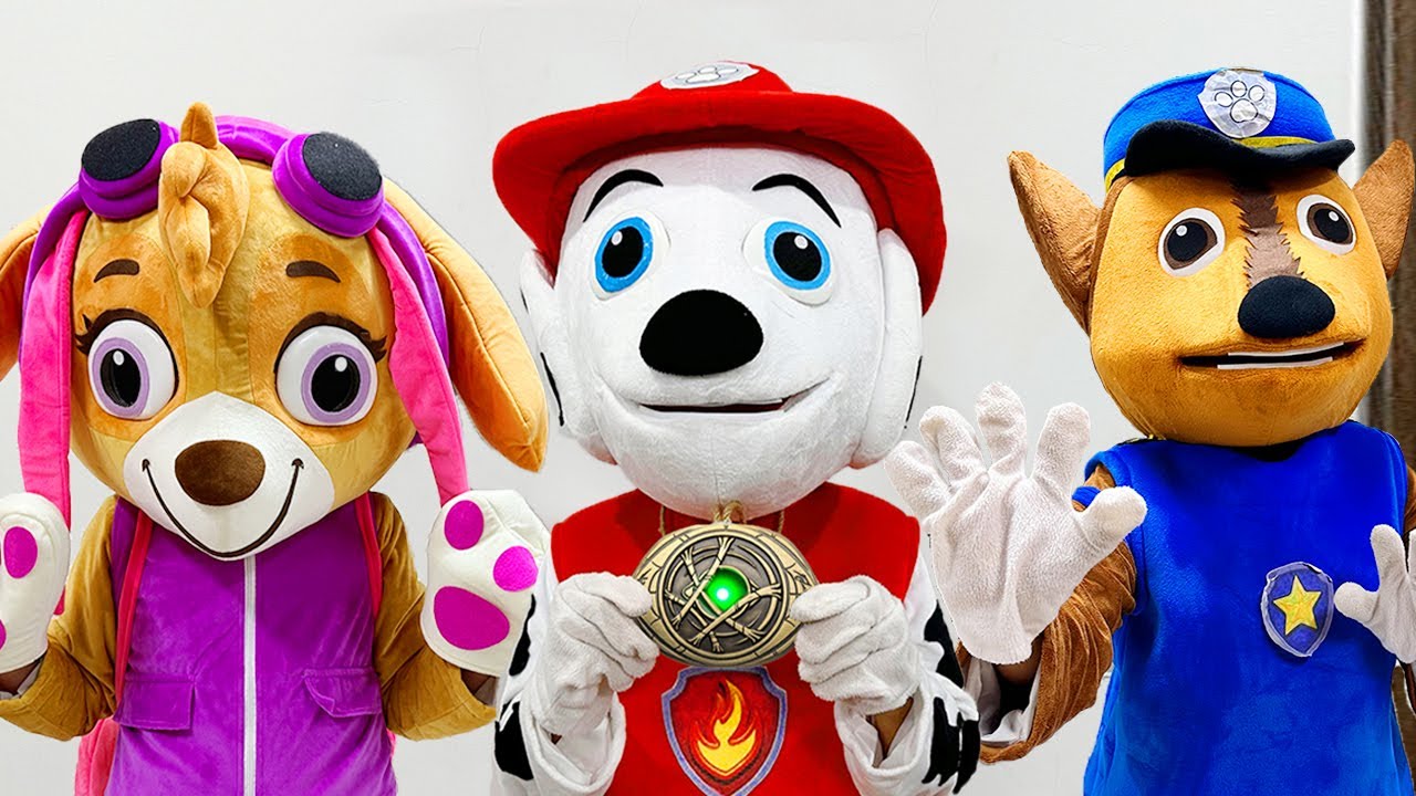 Paw Patrol Ultimate Rescue: PAW PATROL Time Stone - Paw Patrol Funny ...