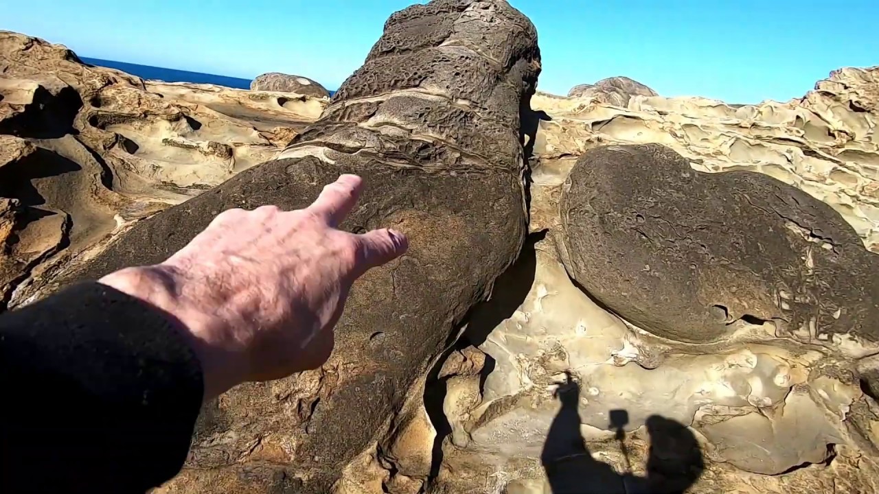 Decayed Remains of a Titan with hair follicles..100% Biological - YouTube