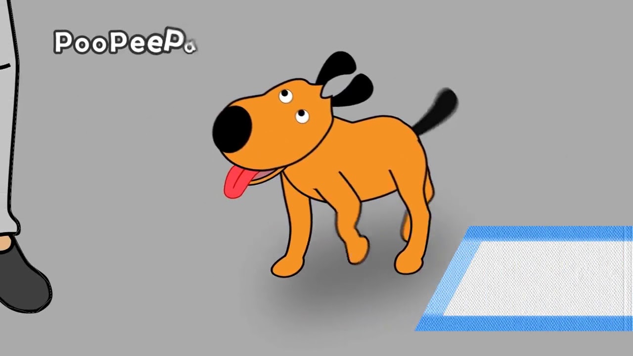 PooPeePads, the best house breaking pee pads for puppies, house ...