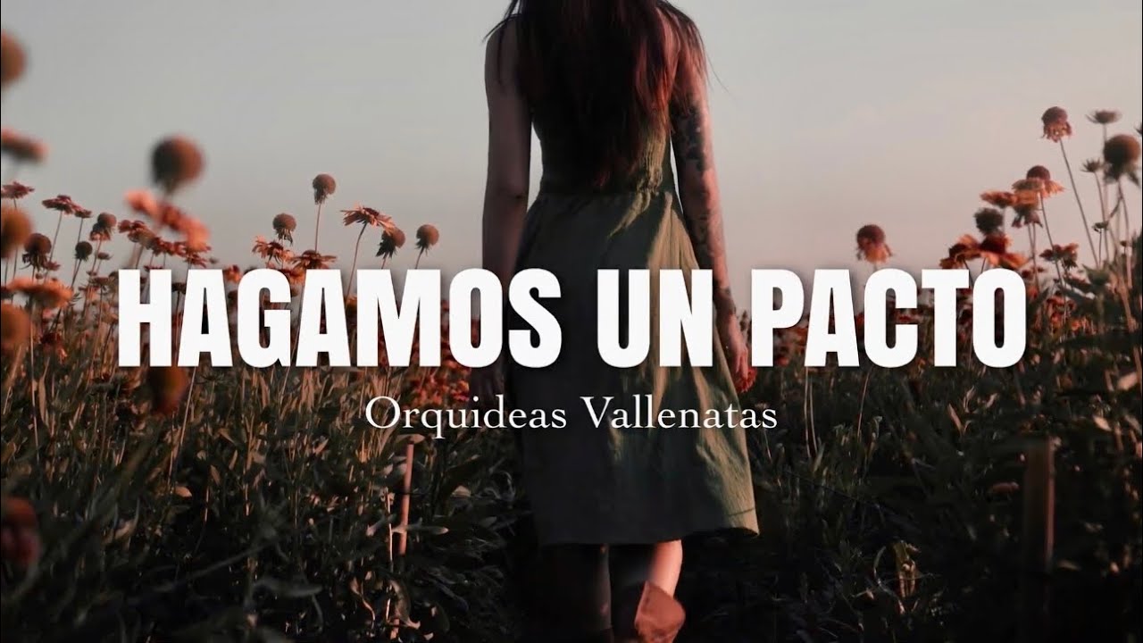 Hagamos Un Pacto - Orquídeas Vallenatas (Video Letra) - YouTube