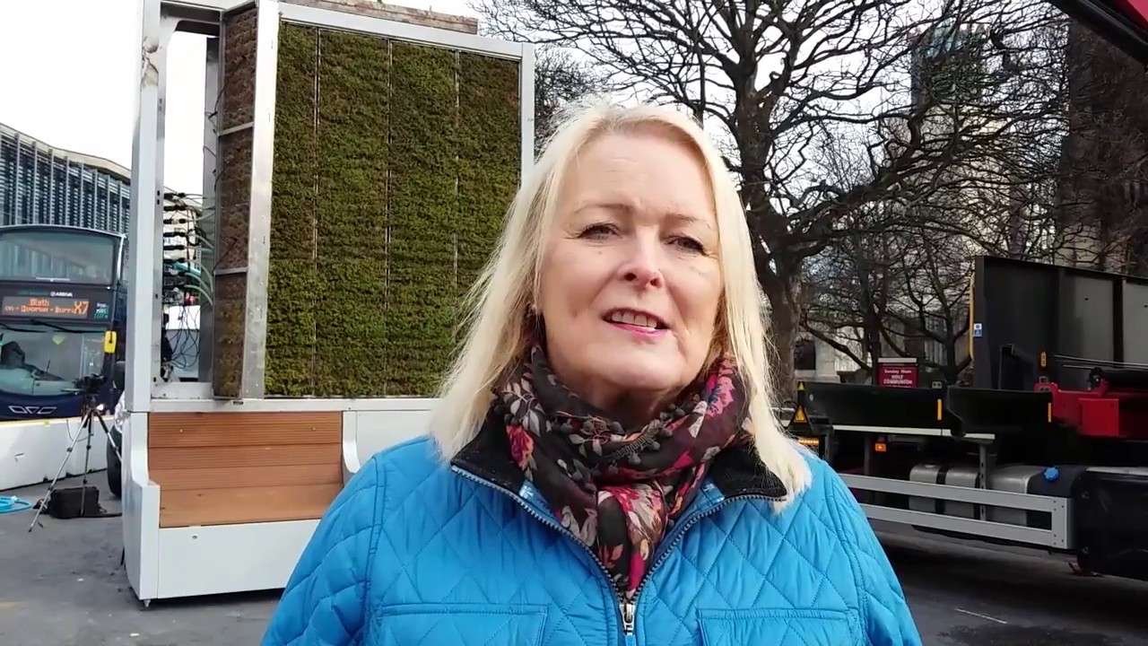 Cllr Arlene Ainsley - Moss Tree - YouTube