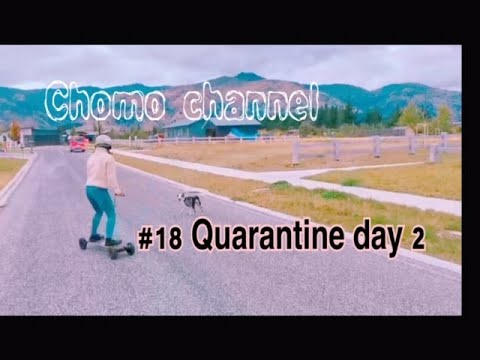 #18 Quarantine day 2【ロックダウン2日目】 - YouTube