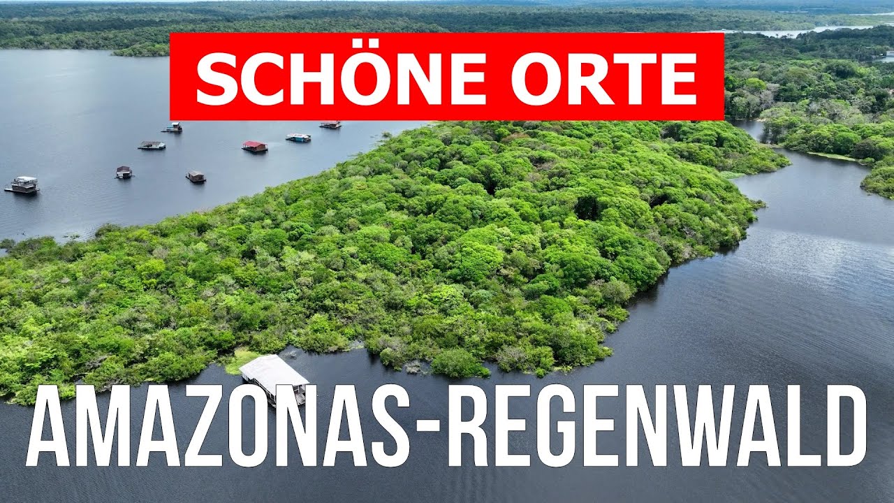 Amazonas-Regenwald in 4k. Südamerika zu besuchen - YouTube