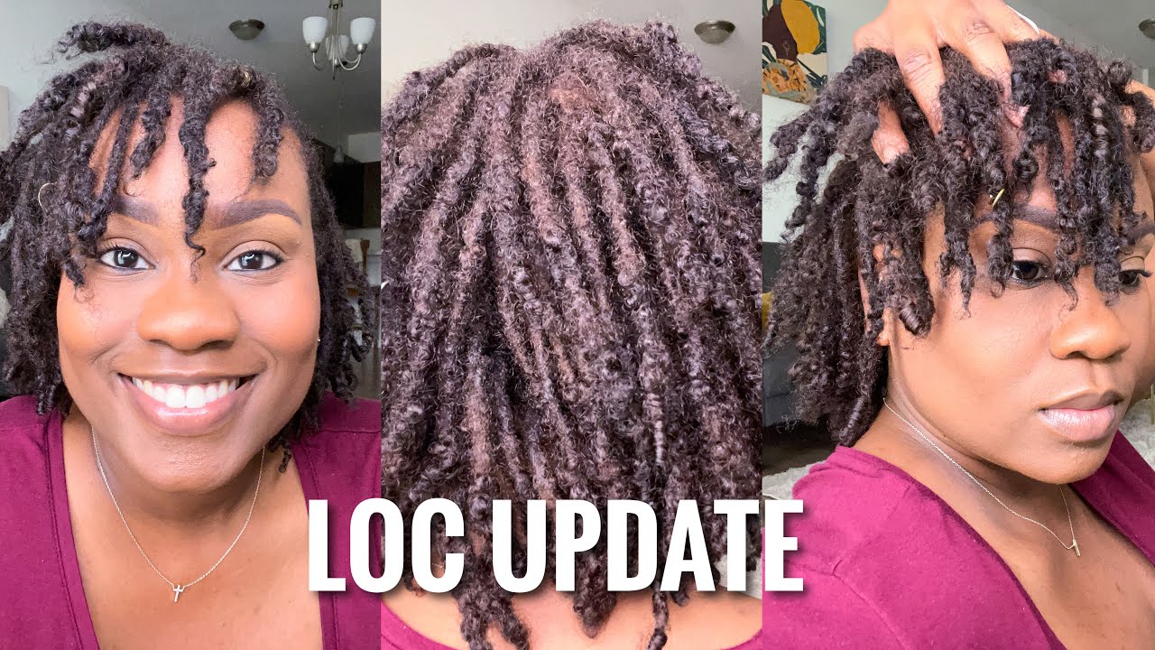 7 & 8 MONTH LOC UPDATE | TWO STRAND TWIST STARTER LOCS - YouTube