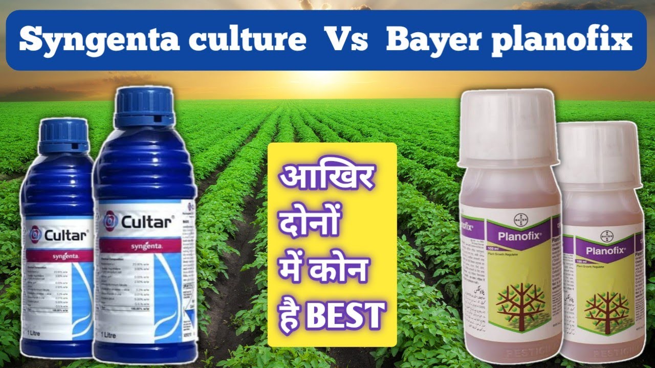 Syngenta cultar vs bayer planofix/planofix PGR tonic/cultar PGR tonic ...