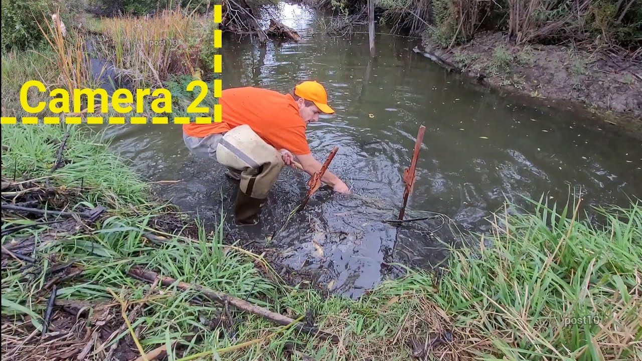 Unclogging Culvert Pipe After Beaver Plugs It - YouTube