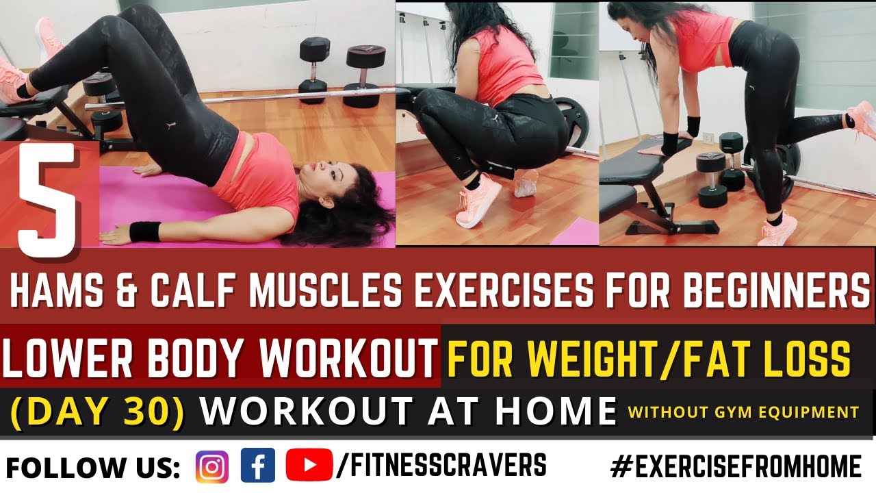 5 Hams & Calf Muscles Exercises For Beginners | Lower Body Workout ...