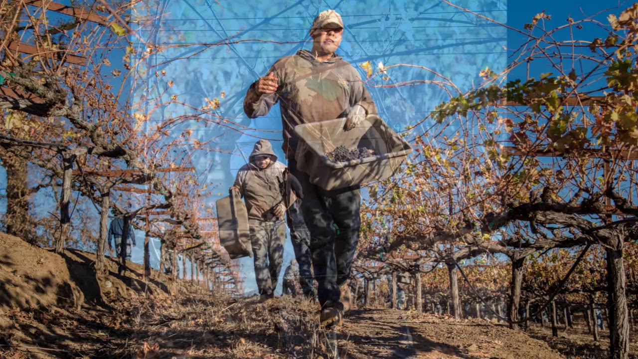 MCF4 SOLUTIONS - YouTube