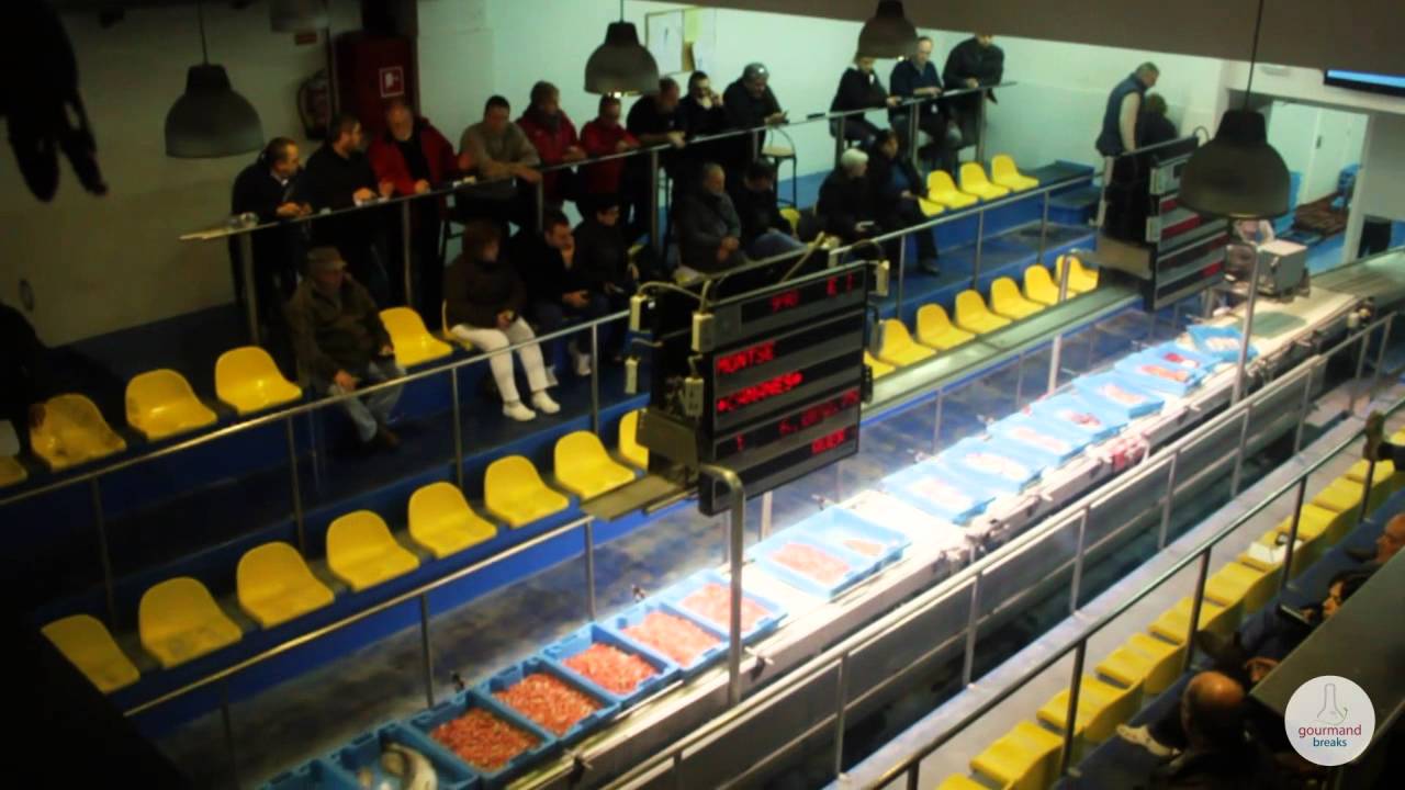 Palamos Fish Market - YouTube