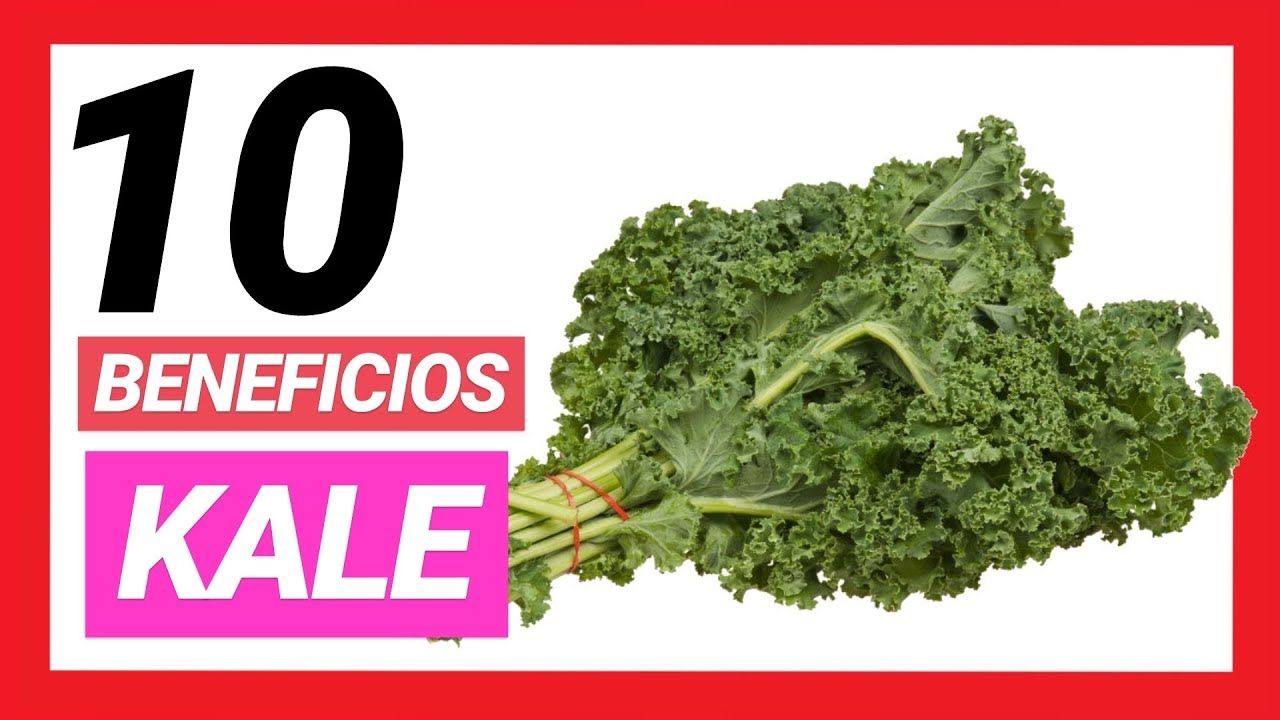 10 GRANDES PROPIEDADES Y BENEFICIOS DE LA KALE (COL RIZADA) - YouTube