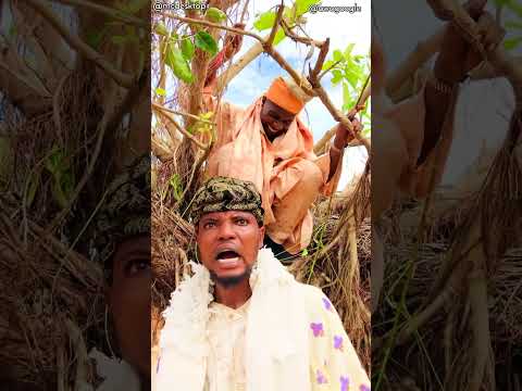 ALFA BABA KAMO DON COLLECT WOTOWOTO 😹🤣🤣🤣🤣🤣🤣🤣🤣 - YouTube