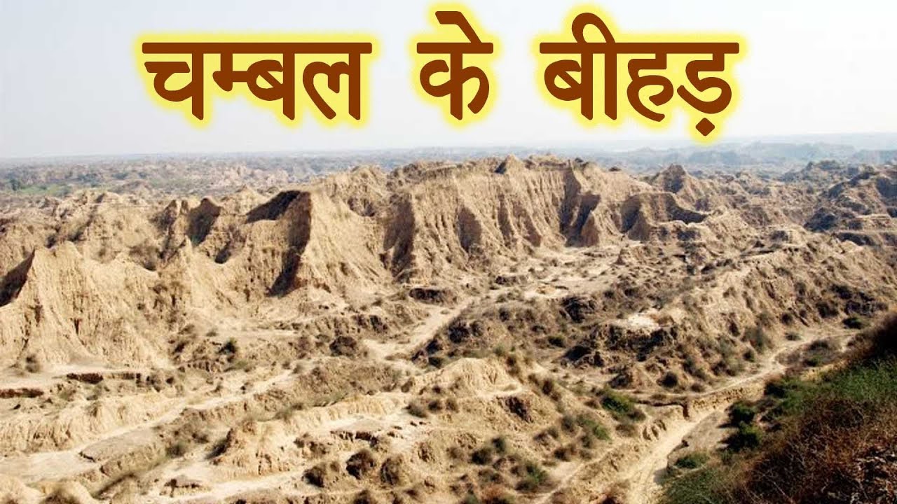 (Beehad) Ravines of Chambal- चम्बल के बीहड़ जिसमे कभी शेर हुआ करते थे ...