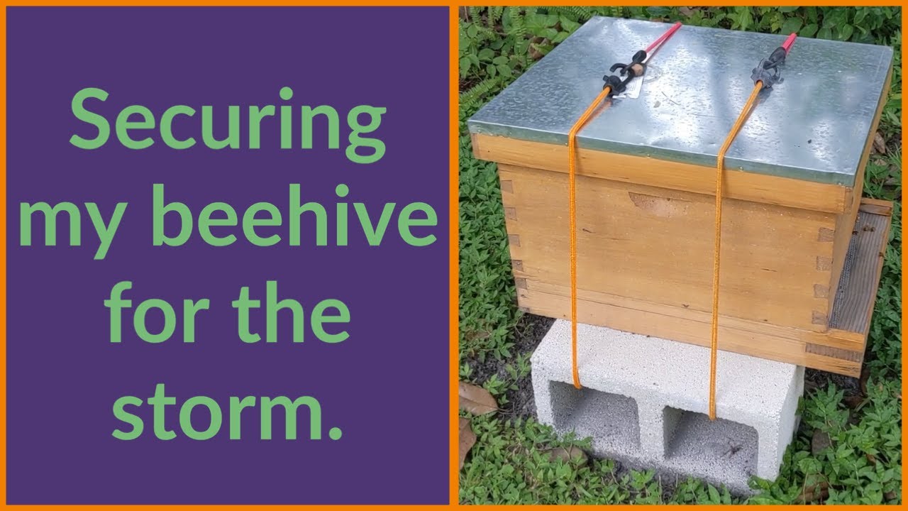 How to Secure a Beehive for a Storm - YouTube