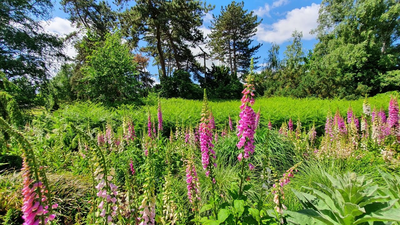 Der Berggarten in Hannover - Herrenhausen | wandern | Hannover - YouTube