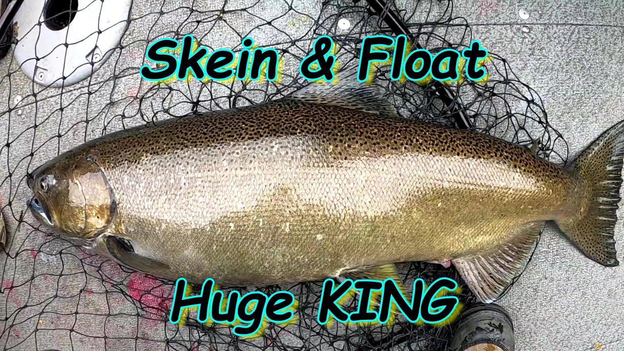Huge Slip Float KING Salmon - YouTube