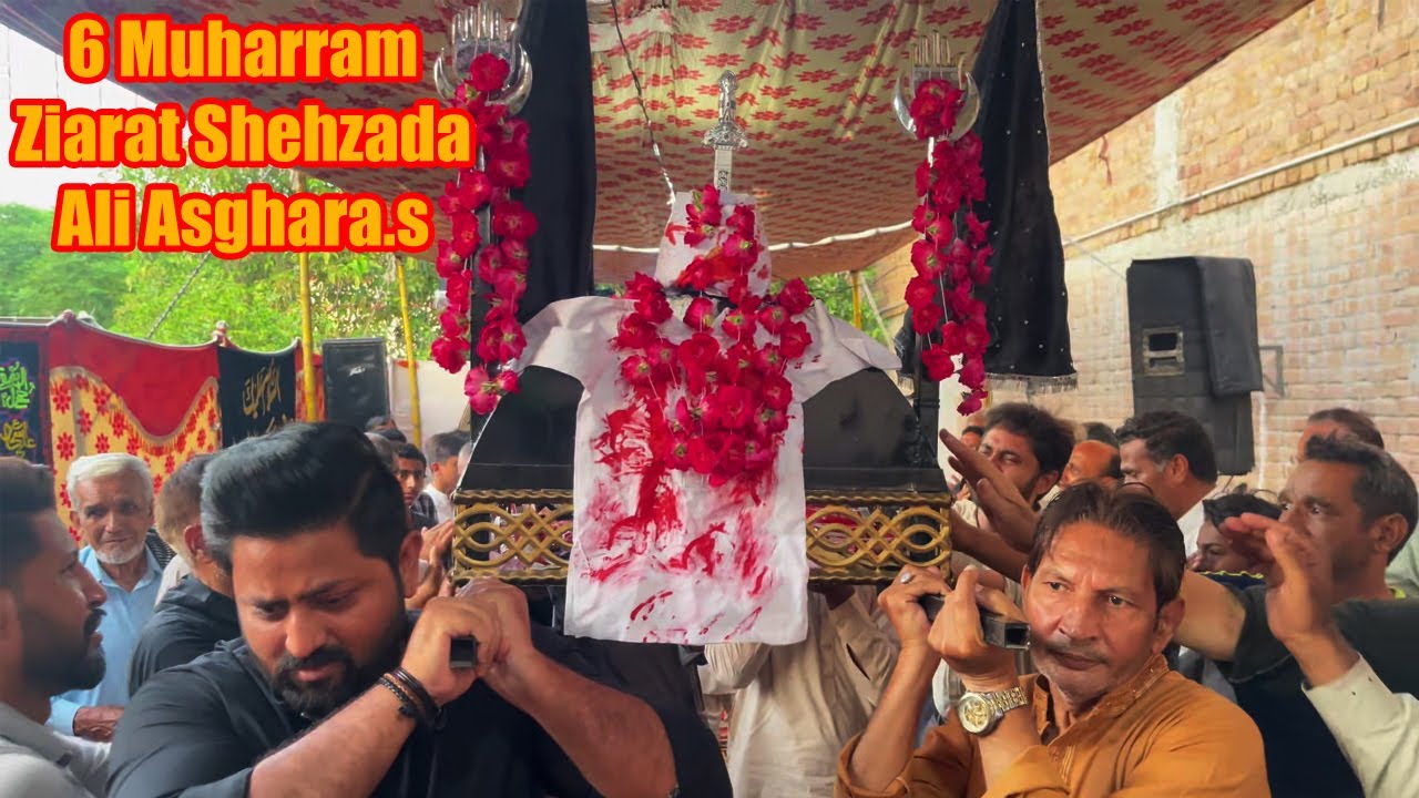 6 Muharram Vlog || Ziarat Shehzada Ali Asghar a.s || Faisal 110 - YouTube