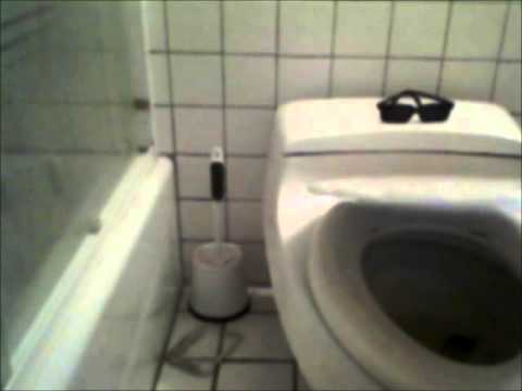 singing toilet - YouTube