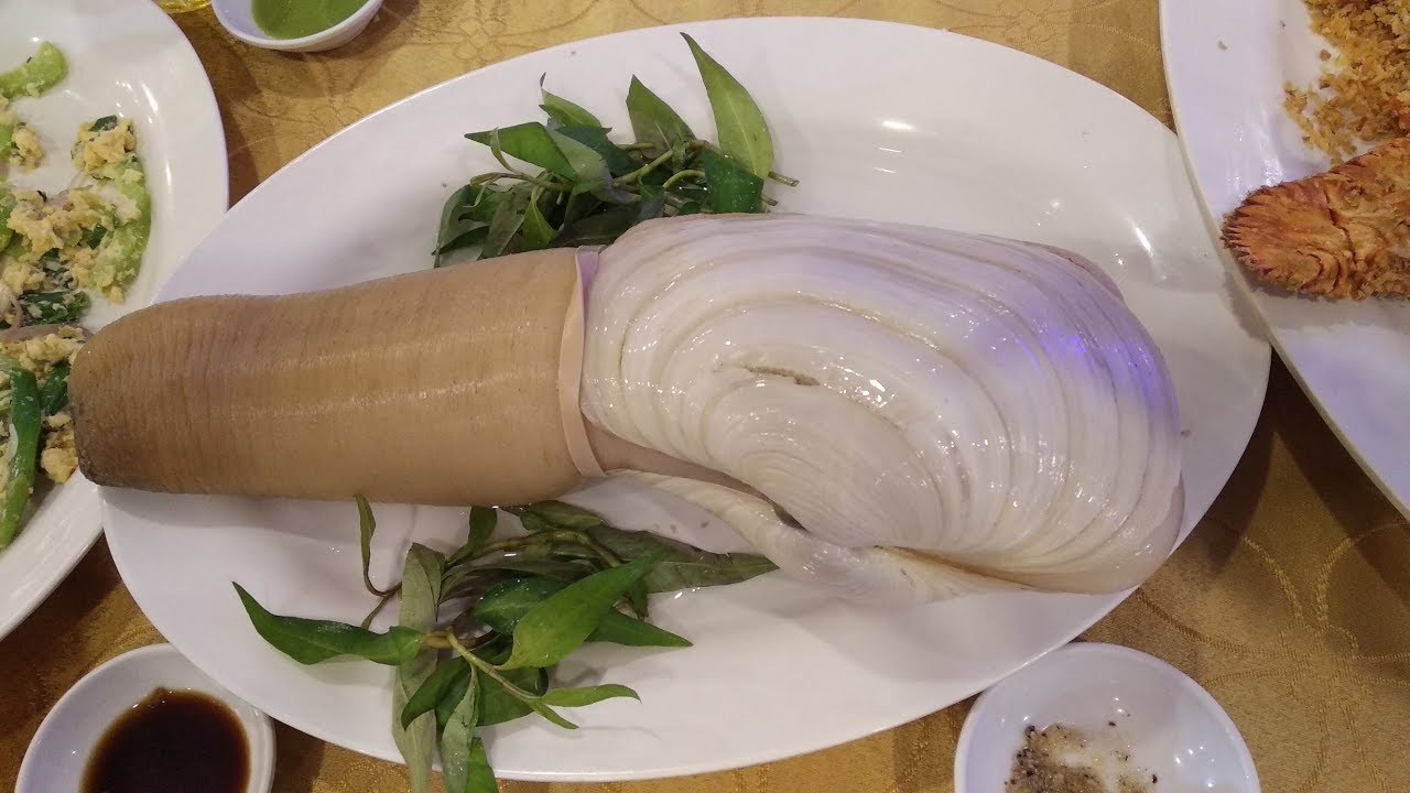 CẬN CẢNH LÀM THỊT ỐC VÒI VOI GIÁ 3 TRIỆU ĐỒNG - Geoduck, Elephant Trunk ...