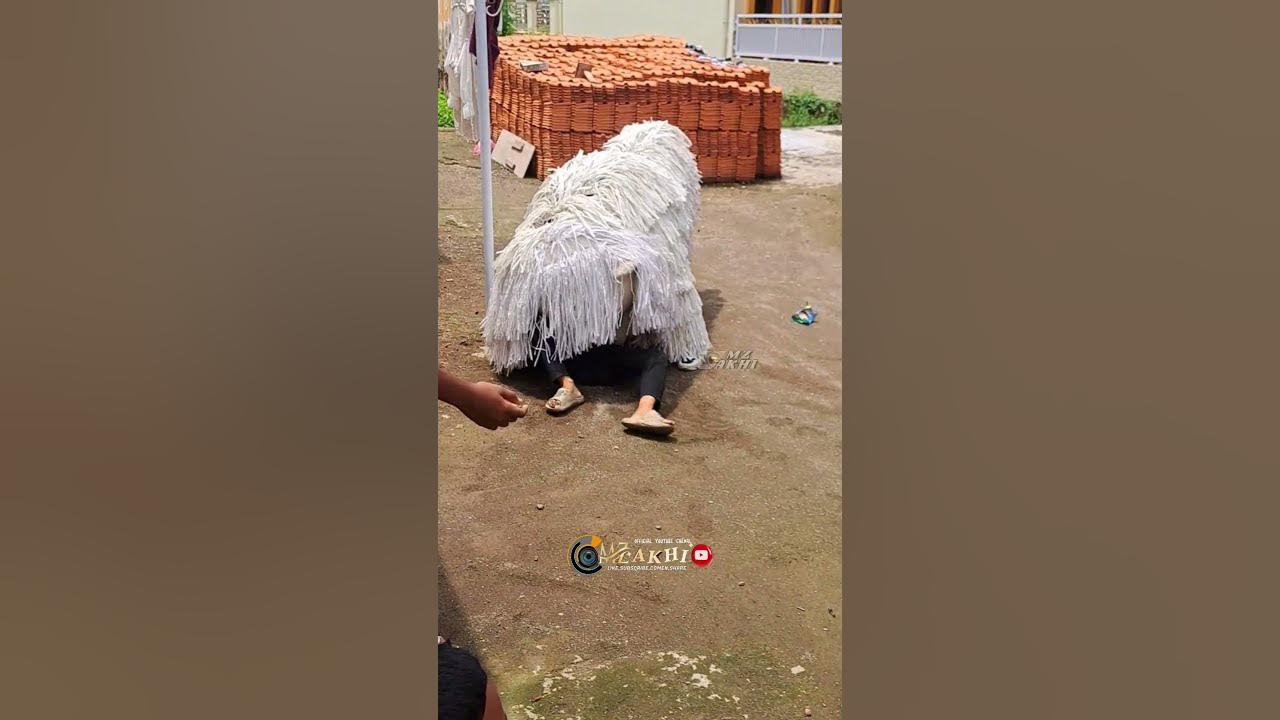 Detik detik Bocil ff lagi salto di makan can macanan - YouTube