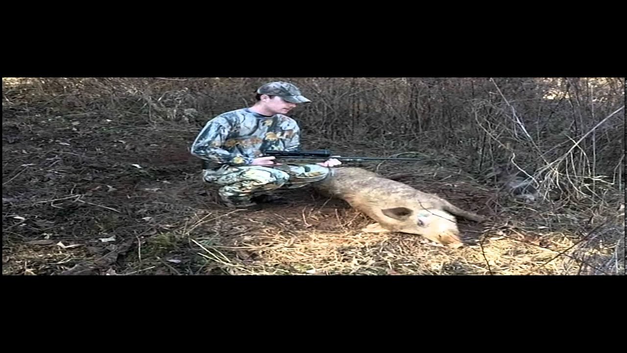 Fall Hunting In the Mountains - YouTube