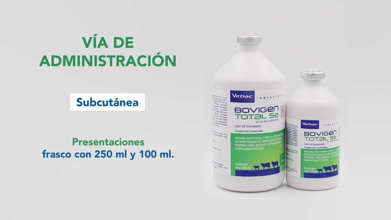 BOVIGEN | Diarrea Viral Bovina - YouTube