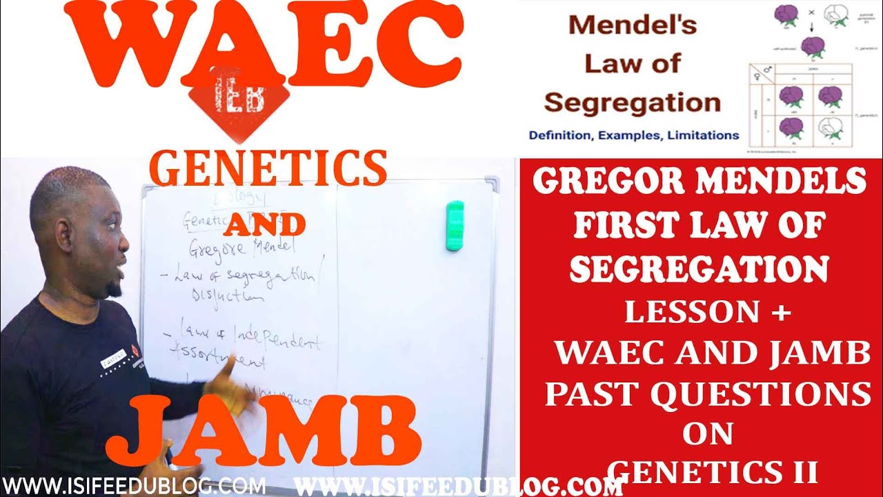 Mendelian principles | Gregore Mandel first law of genetics | Mendelian ...
